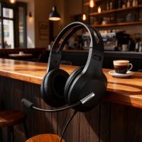 China Wholesale Cheap Price 3.5mm USB Plug Headphones with Microphone Support OEM Headset for sale