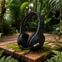 China Professional Gaming Headset 50mm Driver USB Wired Gaming HeadphonesNoise Reduction Mic Gamer Headset for Computer for sale