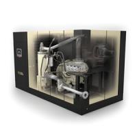 China Variable Speed Screw Type Air Compressor Leak Free Flexible R Series 200-250 for sale