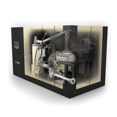 China Remote Control Screw Type Air Compressor VSD Sturdy 380V R Series 250 IE 200-250 for sale