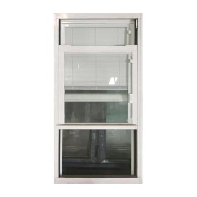 China KDSBuilding Vertical Slide Panel Low E Double Glass Single Hung Aluminum Windows  Frame Design for sale