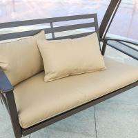 China Contemporary Outdoor Garden Furniture YY Mail Packing Metal Double Swing Chair with Canopy for sale