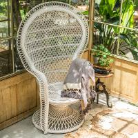 China Outdoor Table Chair Rattan Patio Hanging Swing Egg with Stand Peacock Chair Garden Furniture for sale