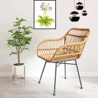 China Modern Design Style Outdoor Furniture Metal PE Rattan Dining Chair with Cushion for sale
