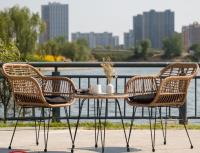 China Modern Design Style Outdoor Furniture Metal PE Rattan Dining Chair with Cushion for sale