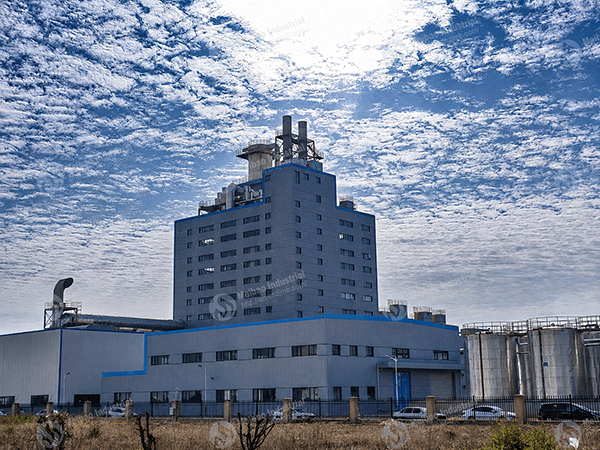 detergent powder production lines