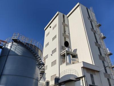China Turnkey Detergent Powder Production Line 1-25 Ton/Hour with Spray Drying & Packaging Systems for sale