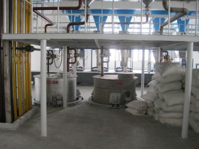 China Semi Automatic Detergent Powder Production Line 1-30 T/H Capacity with Stainless Steel Construction for sale