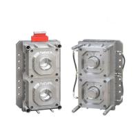 China Open Gate OEM Professional Household Plastic Mould 300K-500K Shots for sale