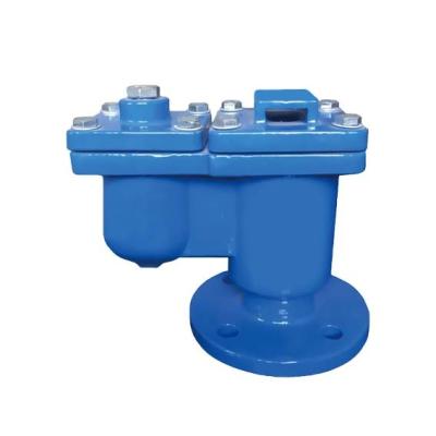China BS ANSI Ductile Iron Check Valve PN16/PN10 with Automatic Air Valve Flange for Industrial Applications for sale
