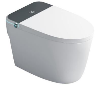 China INOVI 824 Intelligent Siphonic Smart Toilet with 40kg Weight and 0.16 CBM Volume - European Style Standing Floor Mount for sale