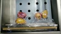 China Single Chamber Vacuum Packing Machine DZ450 220V 900W Table Stand Peanut Packaging for sale