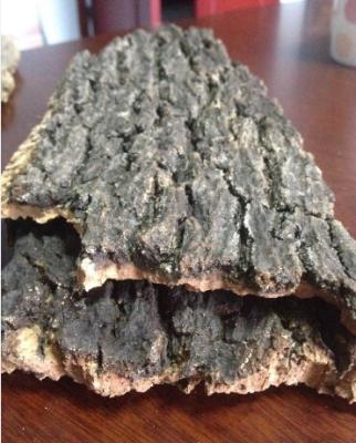 China Natural Cork Bark Tiles 30x30cm for Wall and Floor Insulation for sale