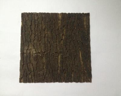 China Natural Cork Bark Tiles 300x600mm for Wall and Ceiling Decoration Eco-Friendly for sale