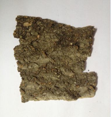 China Natural Cork Bark Tiles for Animal Enclosures First Layer 10x10cm for sale