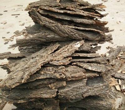 China Natural Cork Bark Tiles for Reptile Enclosures Wall Decoration 10x10cm for sale