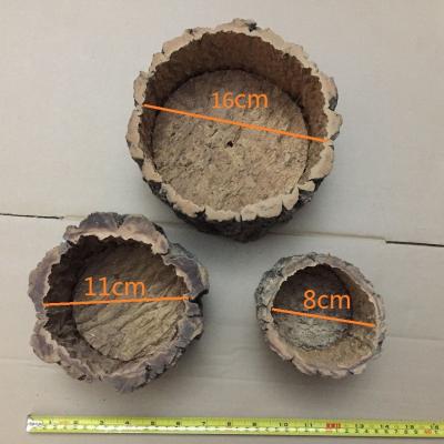 China Natural Round Cork Bark Planter for Orchids Succulents Gardening 10cm for sale