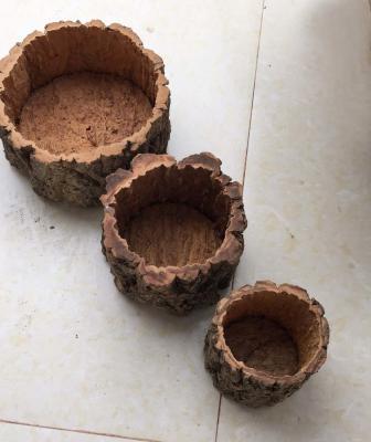 China Round Cork Bark Planter 10 Inch for Indoor Outdoor Gardening Durable Natural for sale