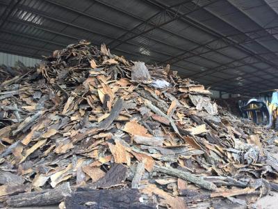 China Natural Cork Bark Tiles for Air Plants Display 10x10cm First-Layer for sale