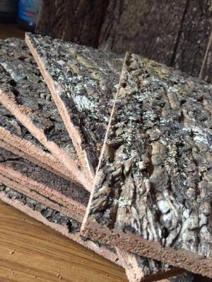 China 300x600mm Natural Cork Bark Wall Tiles First Layer Eco-Friendly Decorative Panels for sale