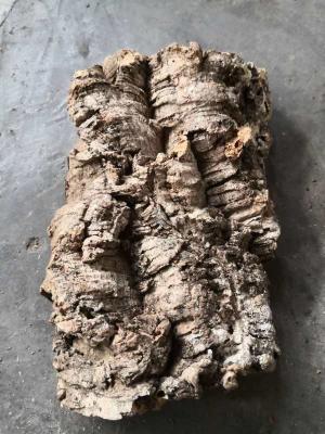 China Natural Virgin Cork Bark 3-4cm Thick for Air Plants Bromeliads Orchids Display for sale