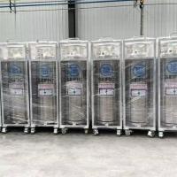 China Nitrogen Argon Co2 Cryogenic Dewar Cylinder Hospital Medical Oxygen Supply for sale