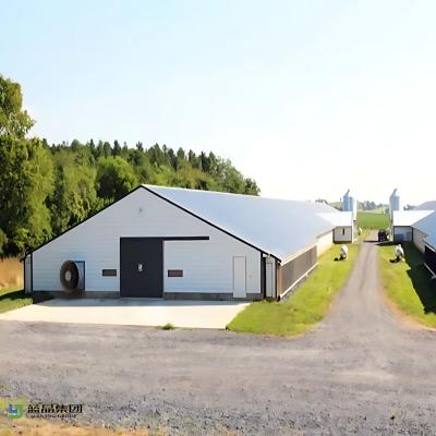 China Customized Design Prefabricated Prefab Metal Steel Structure Frame Factory Workshop Storage Warehouse Rock Wool Panel Large Span for sale