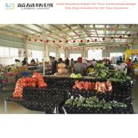 China Prefabricated Materials Steel Structure Stadium Sport Exhibition Hall Workshop Warehouse Mall Storage for sale