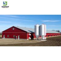 China Prefabricated Low Cost Portal Frame Steel Structure Poultry Shed Chicken Farm House Layer Broiler Hens Shed Barn for sale