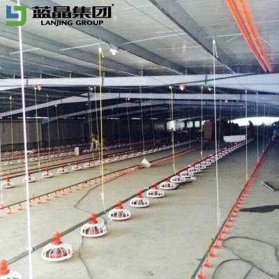 China Large Span Steel Structure Poultry House Factory High Strength Steel ISO for sale