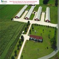 China Professional Steel Structure Poultry House Anti Corrosion Wind Resistant for sale