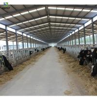 China Custom Steel Structure Poultry House Hot Rolled Steel Cost Effective for sale