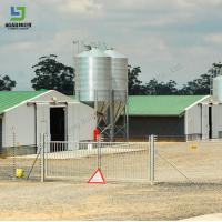 China High Quality Chicken Broiler Poultry Farm Steel Structure Shed House  Layer Chicken House Full Set Equipment for sale