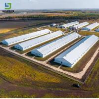 China Steel Metal Frame Prefabricated Steel Structure Chicken Farm Poultry House Cow Barn Shed Broiler Layer Chicken House for sale