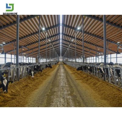 China Low Cost Prefab Light Galvanized Fast Assembling Steel Structure Construction Livestock Farm  Cow Cattle Chicken Automatic Free Range for sale