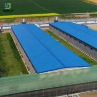 China Custom Steel Structure Poultry House for Broiler Layer Chicken Farming for sale