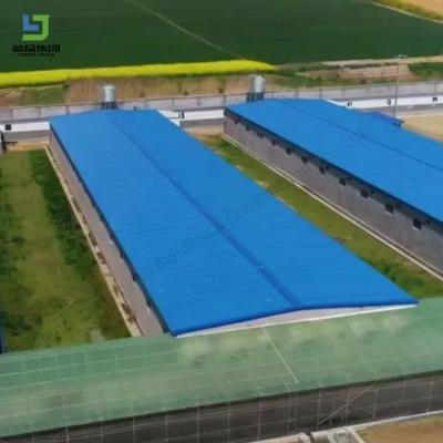 China Custom Steel Structure Poultry House for Broiler Layer Chicken Farming for sale