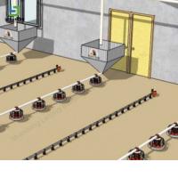 China Custom Steel Structure Poultry House for Chicken Farming for sale
