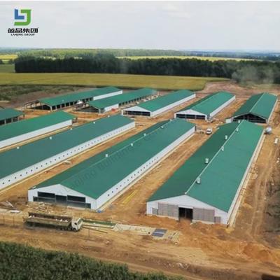 China Steel Structure Poultry House with 50-Year Lifespan and Insulated Panels for sale