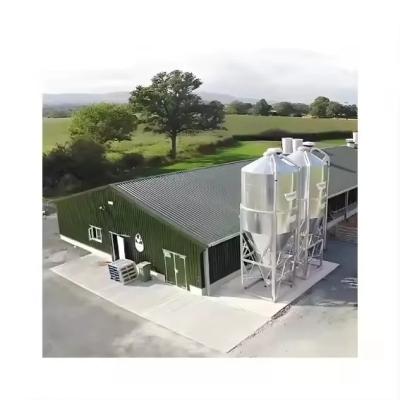 China Steel Poultry Farm Building Broiler Layer Hens Chicken Steel Structure House for sale