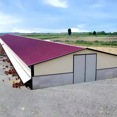 China Steel Poultry Farm House Design Prefabricated Steel Structure Chicken Farm Construction Building for sale