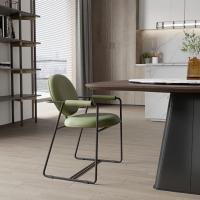 China Minimalist Ultra Modern Dining Chairs Titanium Frame Stainless Steel Dining Chair for sale