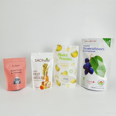 China Food Grade Small Plastic Dry Fruits Packaging Pouch Custom Printed for sale