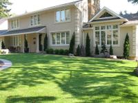 China 20mm Pile Height Artificial LLandscape Grass Installed On Any Occasion With SBR Latex Backing for sale