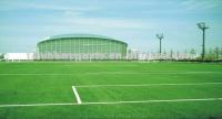China 32mm Pile Height Football Artificial Turf with CPP+LENO Backing and SBR Latex Coating for sale