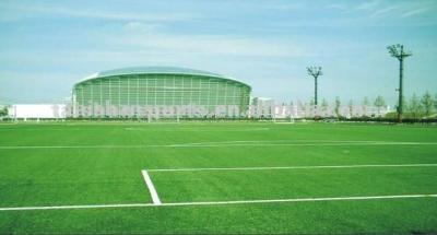 China 32mm Pile Height Football Artificial Turf with CPP+LENO Backing and SBR Latex Coating for sale