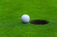 China Golf Artificial Turf with 17mm Pile Height High Density and PU Adhesive for Synthetic Putting Greens for sale
