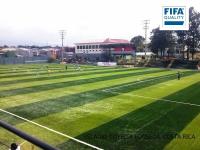 China FIFA Certified 55mm Pile Height High Density Artificial Turf for Soccer Courts with Low Maintenance for sale