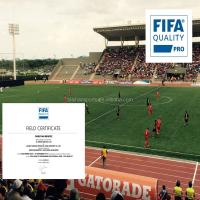China Green Football Artificial Turf with 5/8