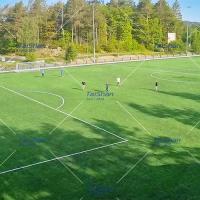 China 200 Stitches/M Tennis Artificial Turf with 20mm Pile Height in Durable Polyethylene Material for sale